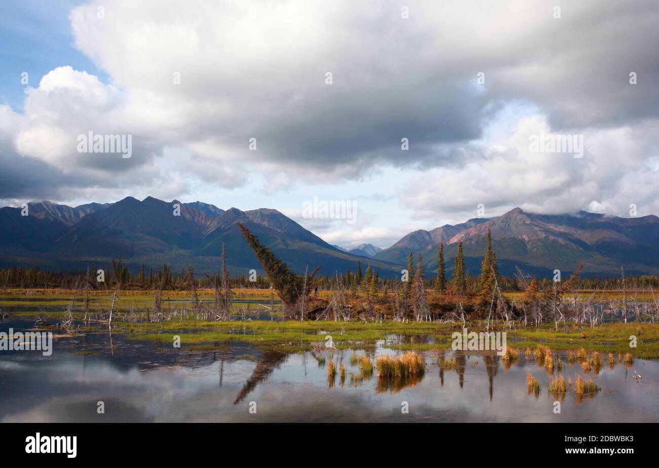 Alaska landscapes hi-res stock photography and images - Alamy