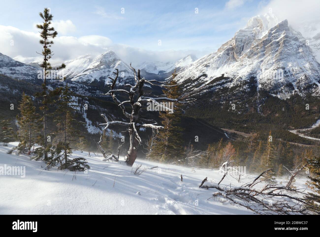 Ice and snow Stock Photo - Alamy