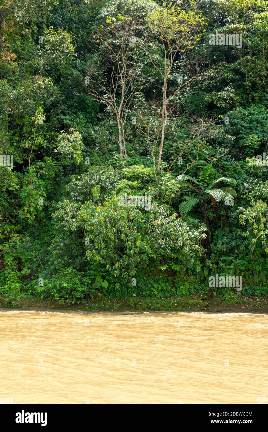 Alas river sumatra hi-res stock photography and images - Alamy