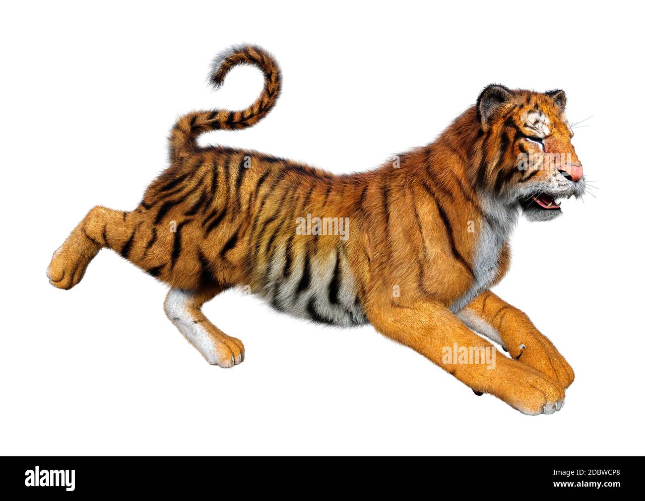 3D rendering of a big cat tiger isolated on white background Stock ...