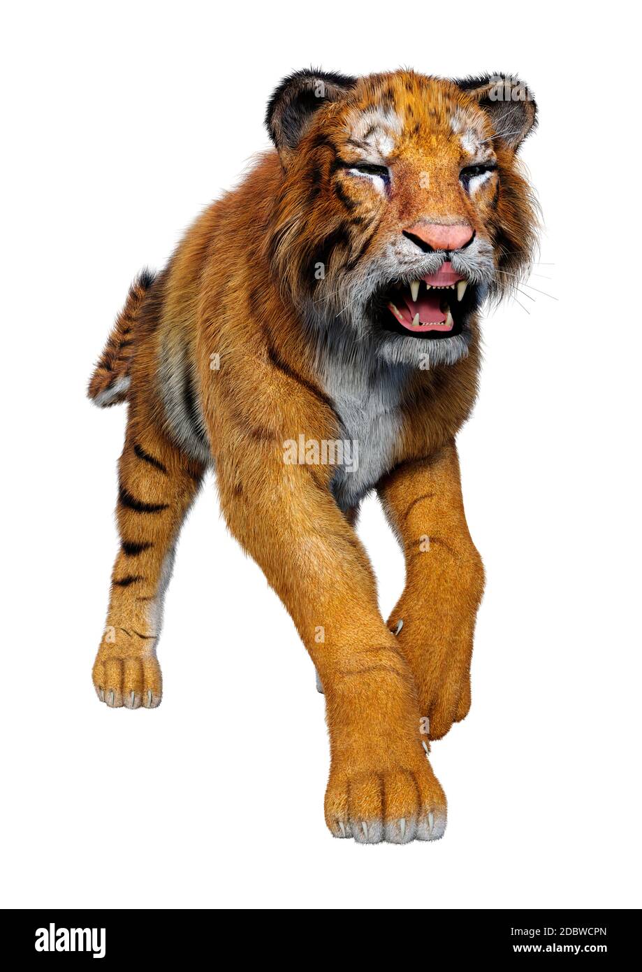 3D rendering of a big cat tiger isolated on white background Stock ...