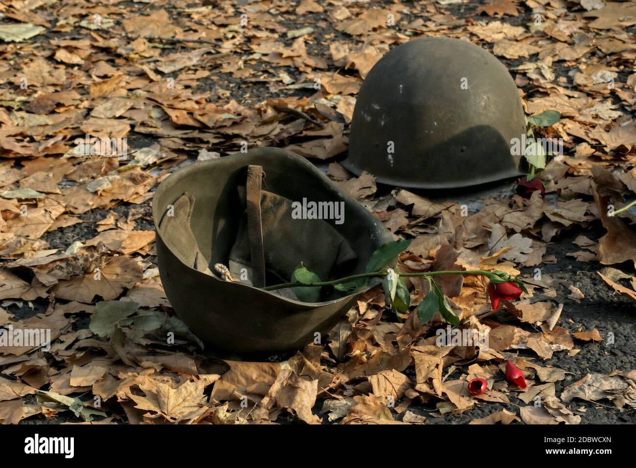 Helmet of fallen soldiers in autumn avar with rose Stock Photo - Alamy
