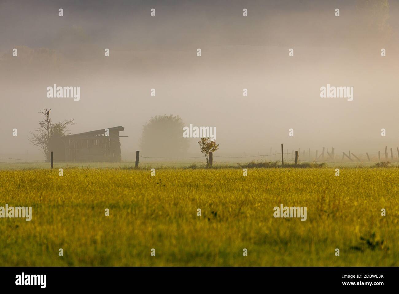 Early blue fog hi-res stock photography and images - Alamy