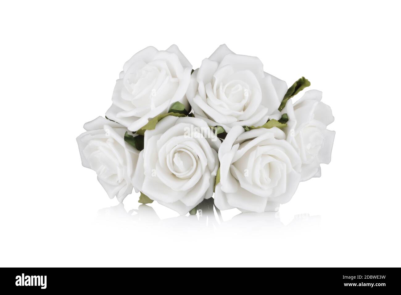 White paper roses on white background with reflection Stock Photo - Alamy