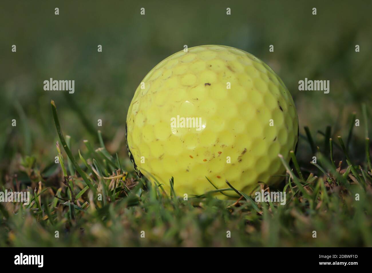 Scenes from sport golf. Golf course impressions in fine weather Stock ...