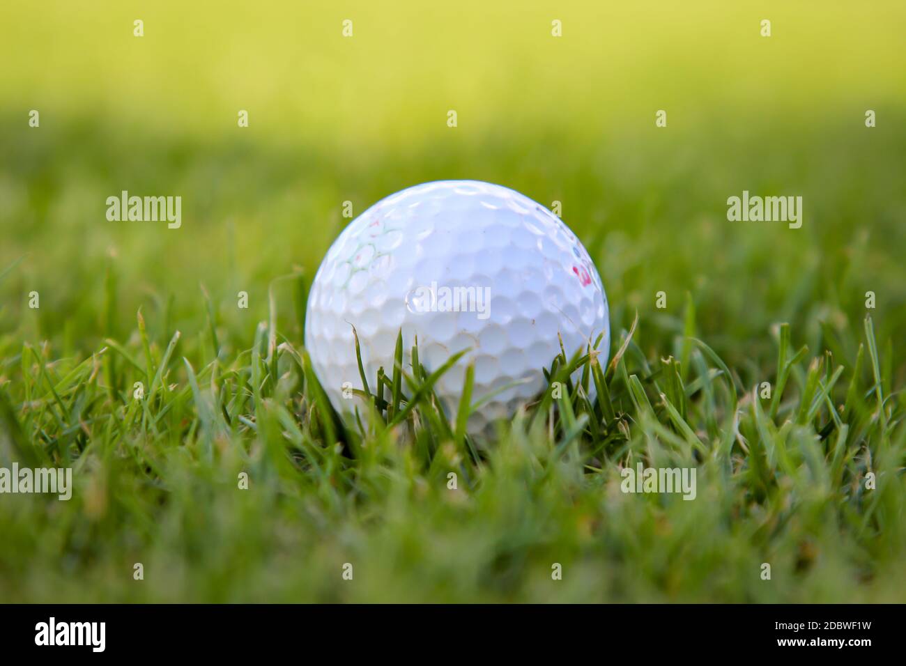 Scenes from sport golf. Golf course impressions in fine weather Stock ...