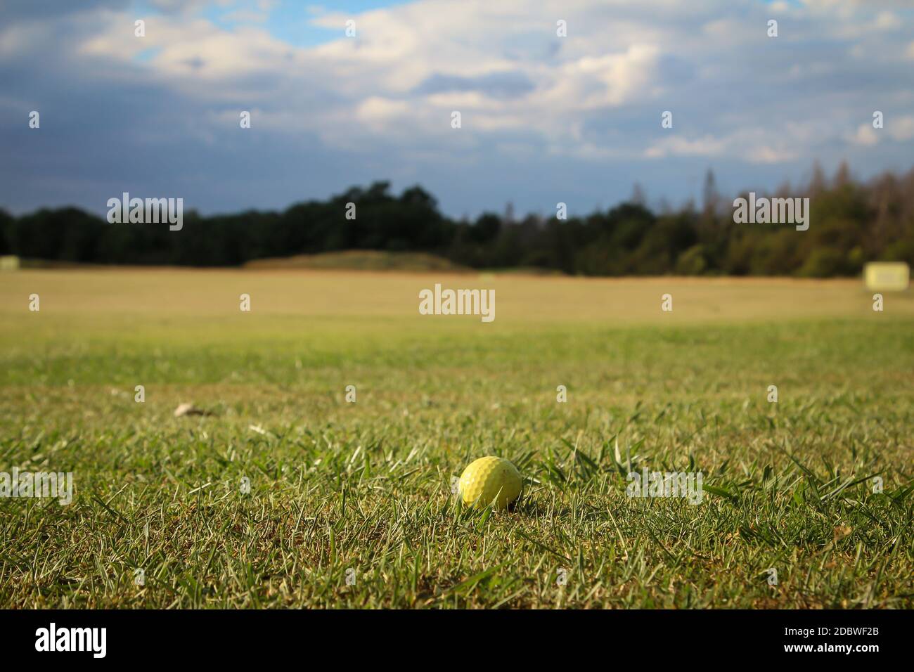 Scenes from sport golf. Golf course impressions in fine weather Stock ...