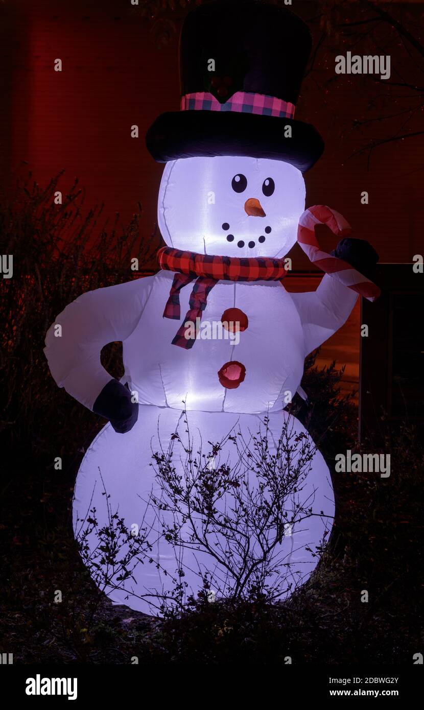 Dark Snowman