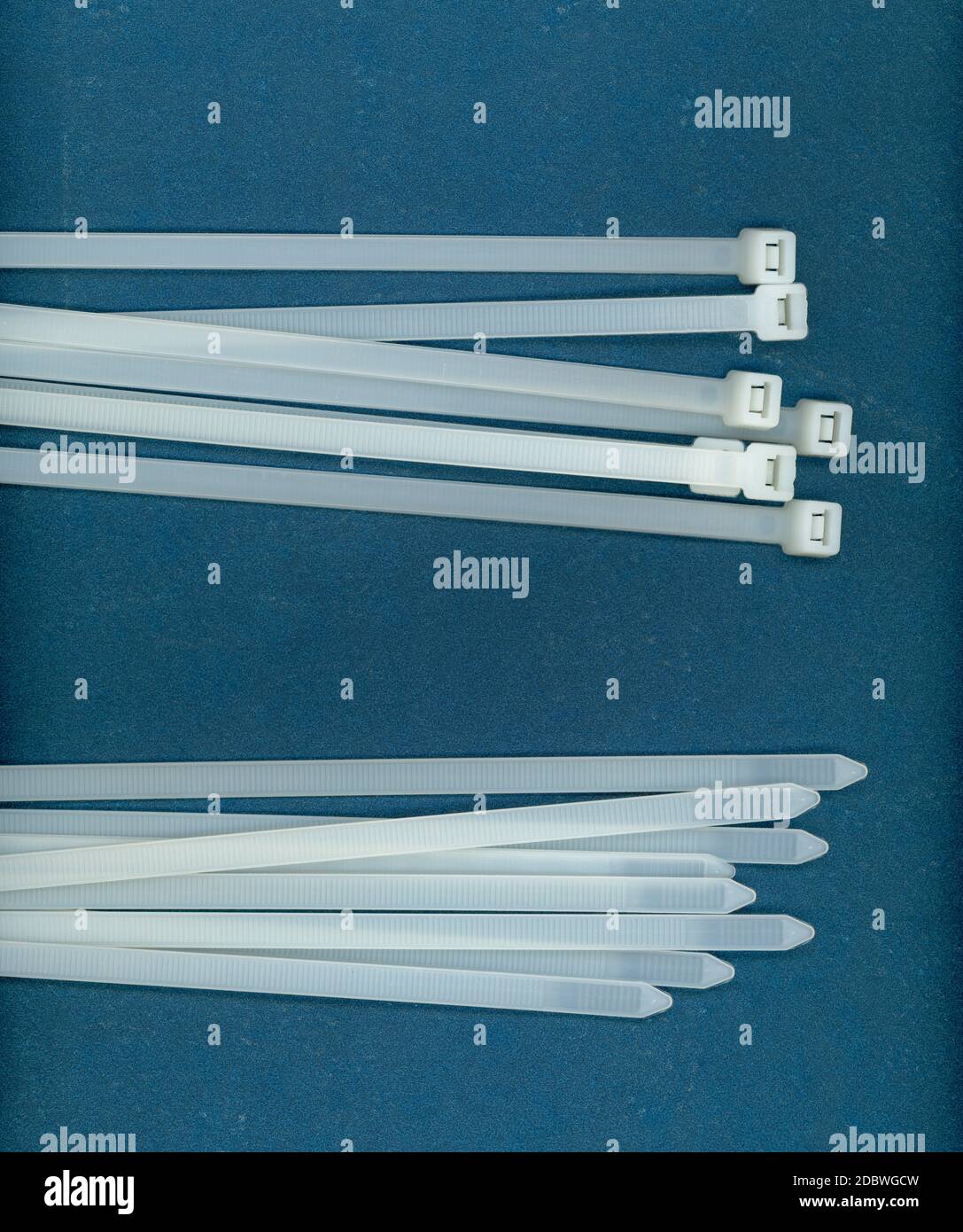 white electric cable ties (aka hose tie or zip tie Stock Photo - Alamy