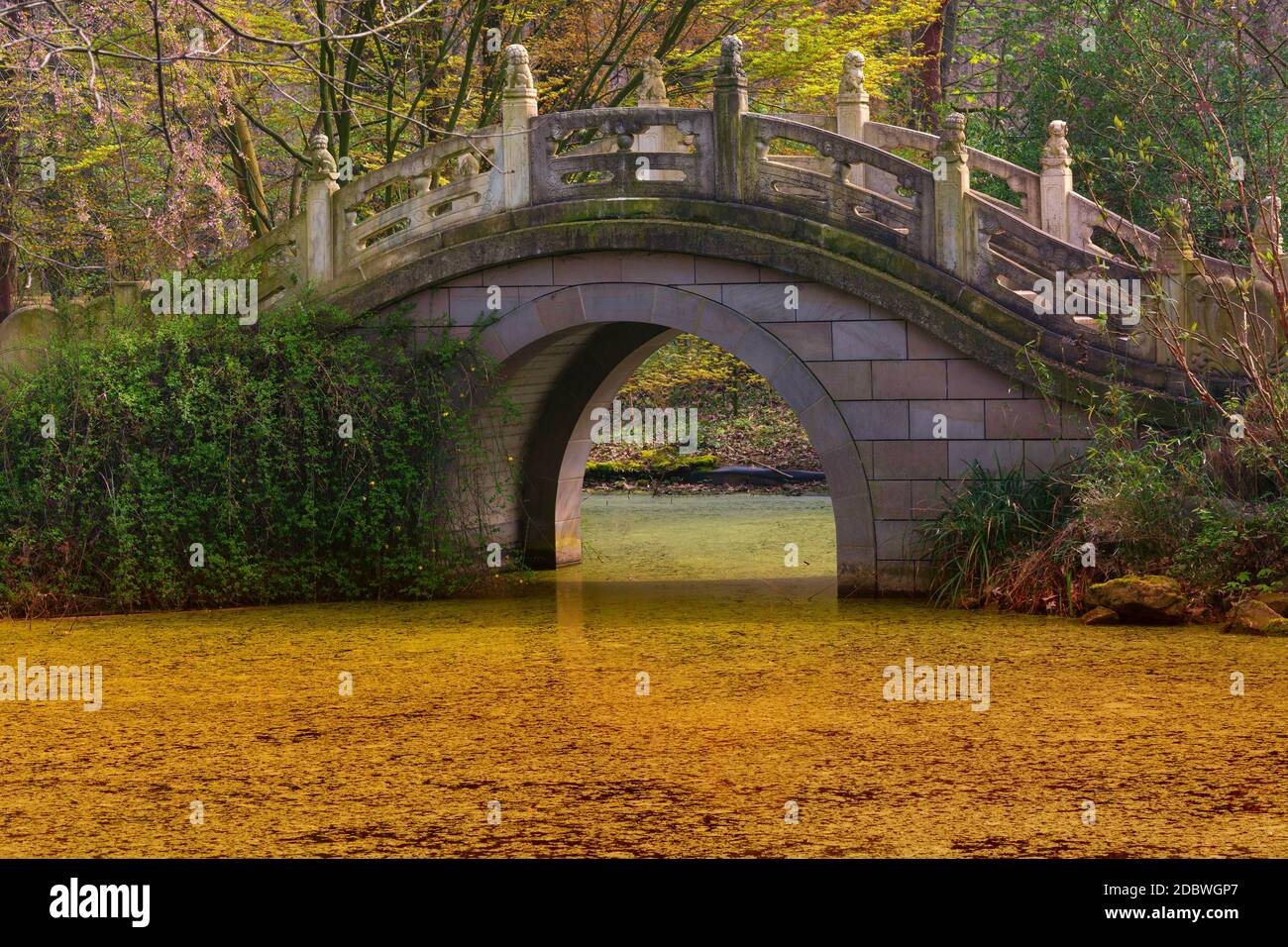 An arch bridge over a pond in an Asian designed garden Stock Photo - Alamy