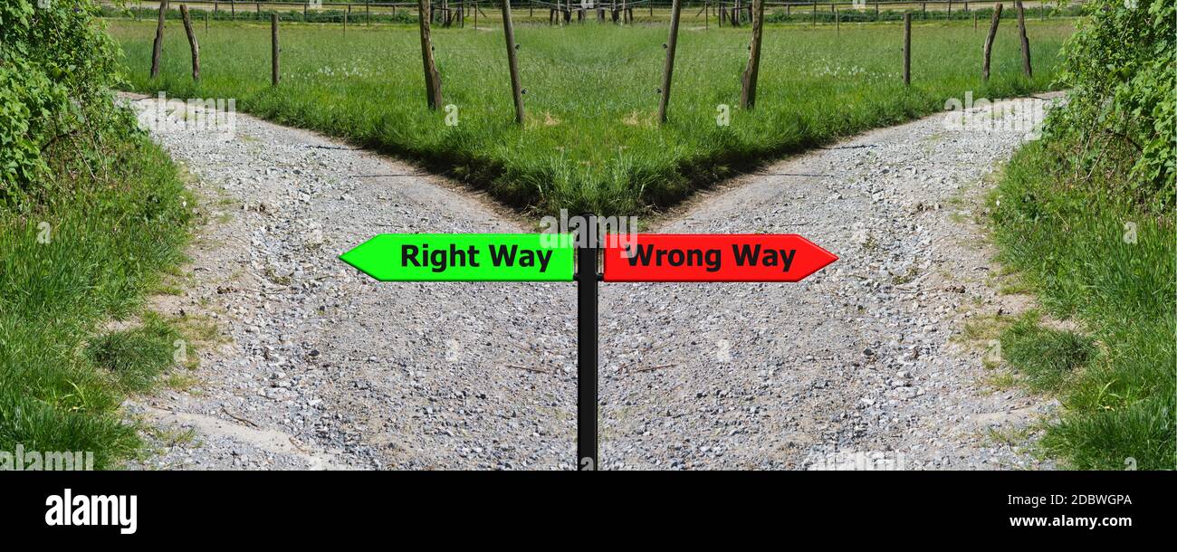 Road sign of right versus wrong decision on country road with meadow ...