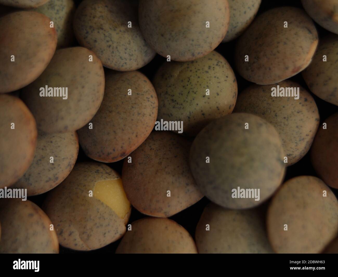 Food Food Legume lentil stew Delicious round tasty Stock Photo - Alamy