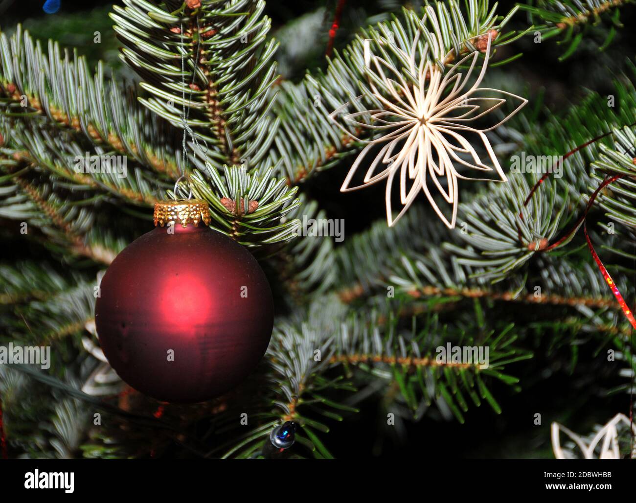 detail of a christmas tree Stock Photo - Alamy