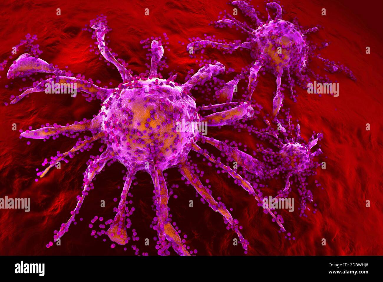 Lung cancer cell microscopic hi-res stock photography and images - Alamy