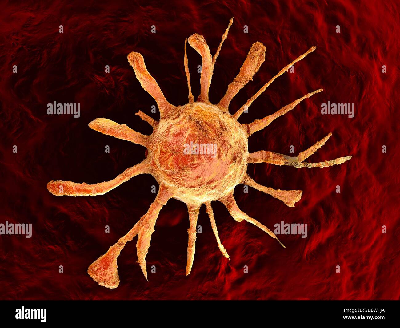 Healthy lung tissue hi-res stock photography and images - Alamy
