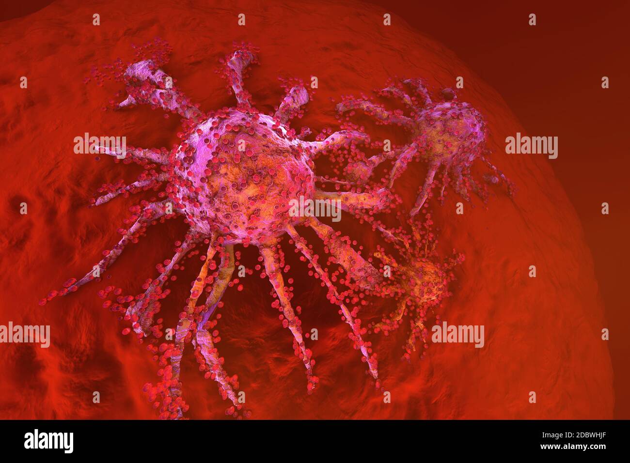 3D rendered Illustration of a growing Cancer cell spreading on healthy ...