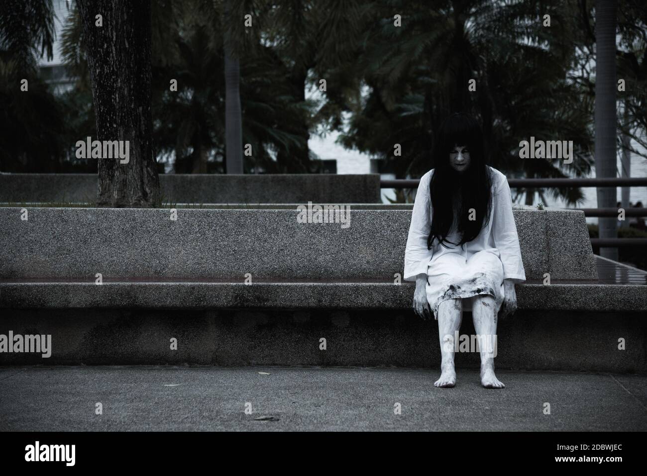 Fantasy gothic horror tree hi-res stock photography and images - Alamy