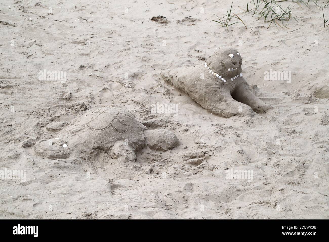 Sandcastles beach shells hi-res stock photography and images - Alamy