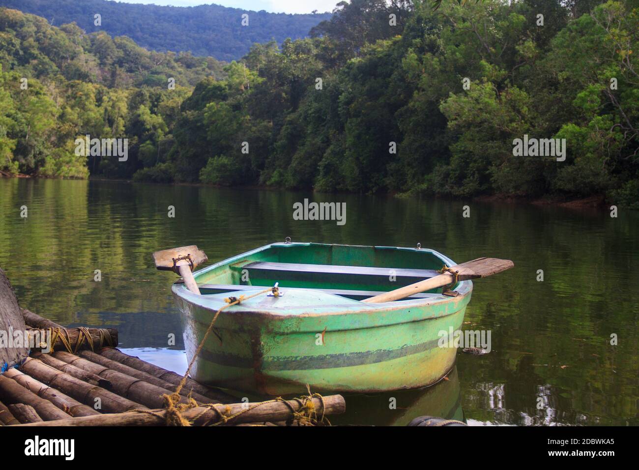 Kottoor forest hi-res stock photography and images - Alamy