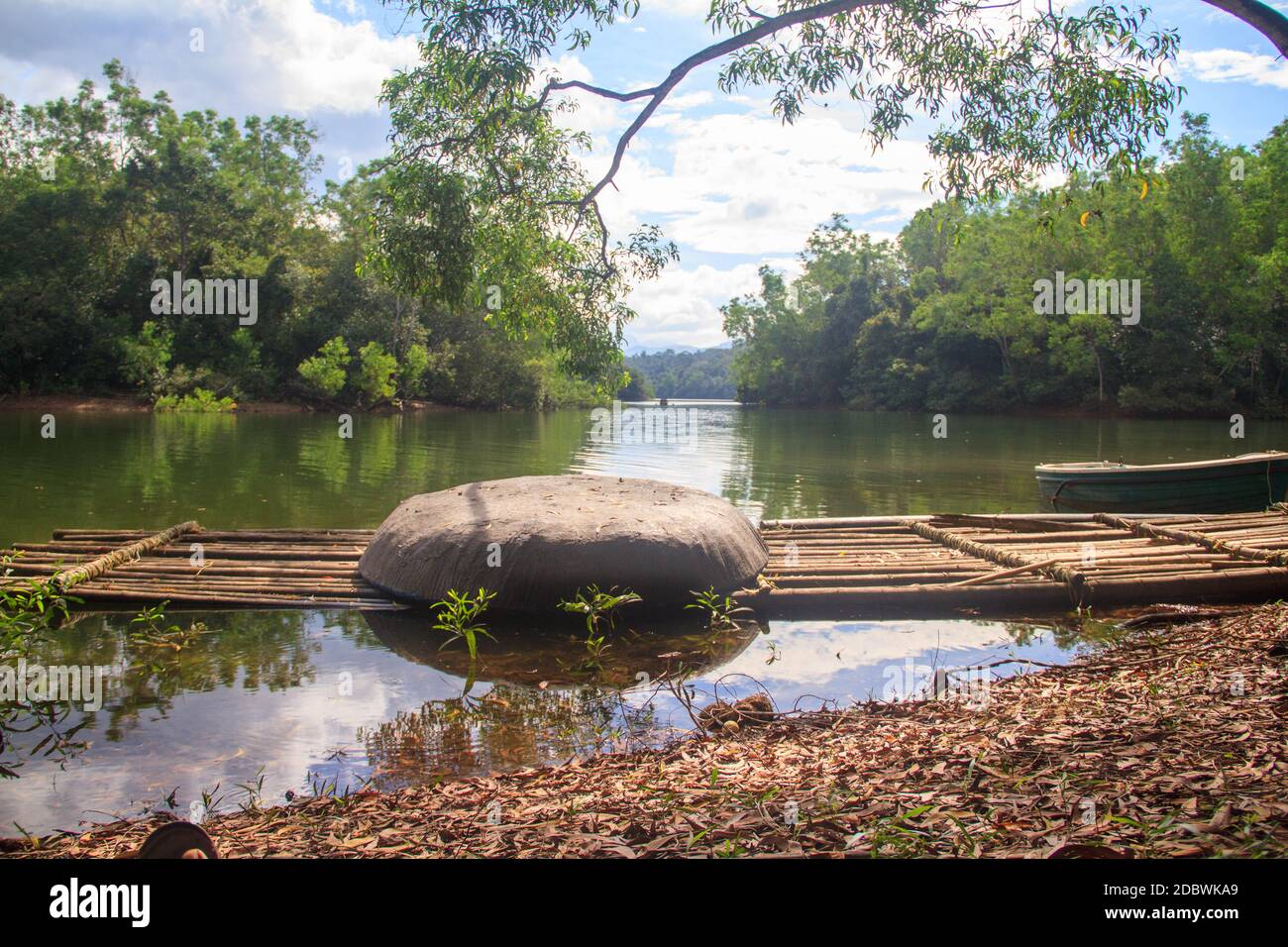 Kottoor forest hi-res stock photography and images - Alamy