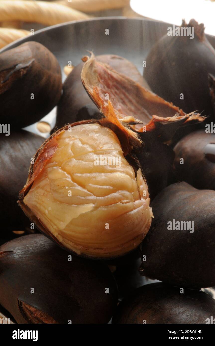 Close up of steaming boiled chestnuts Stock Photo - Alamy