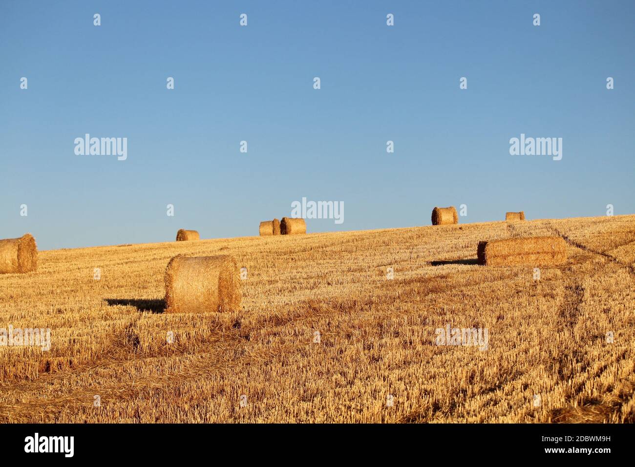 Spanish-spanish mowed field of Spain with straw collected in bales ...