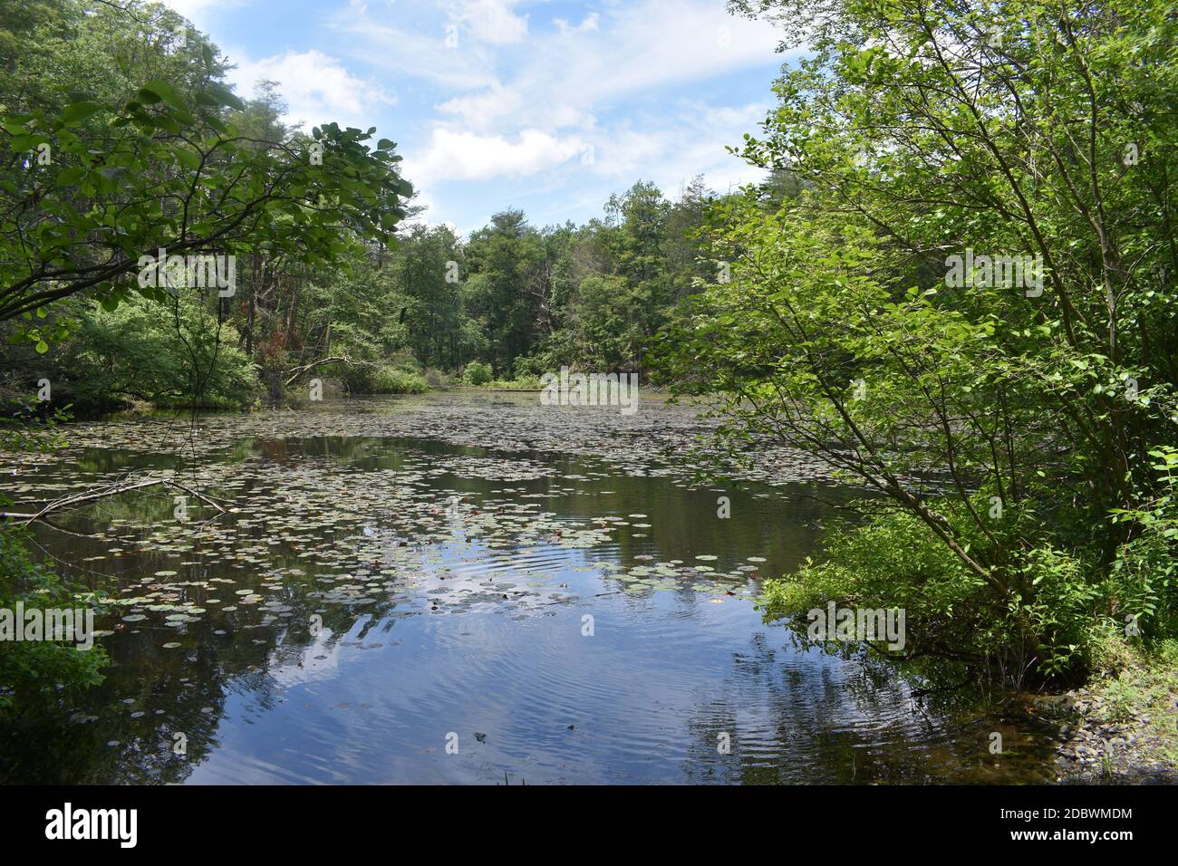 Large body of water hi-res stock photography and images - Alamy