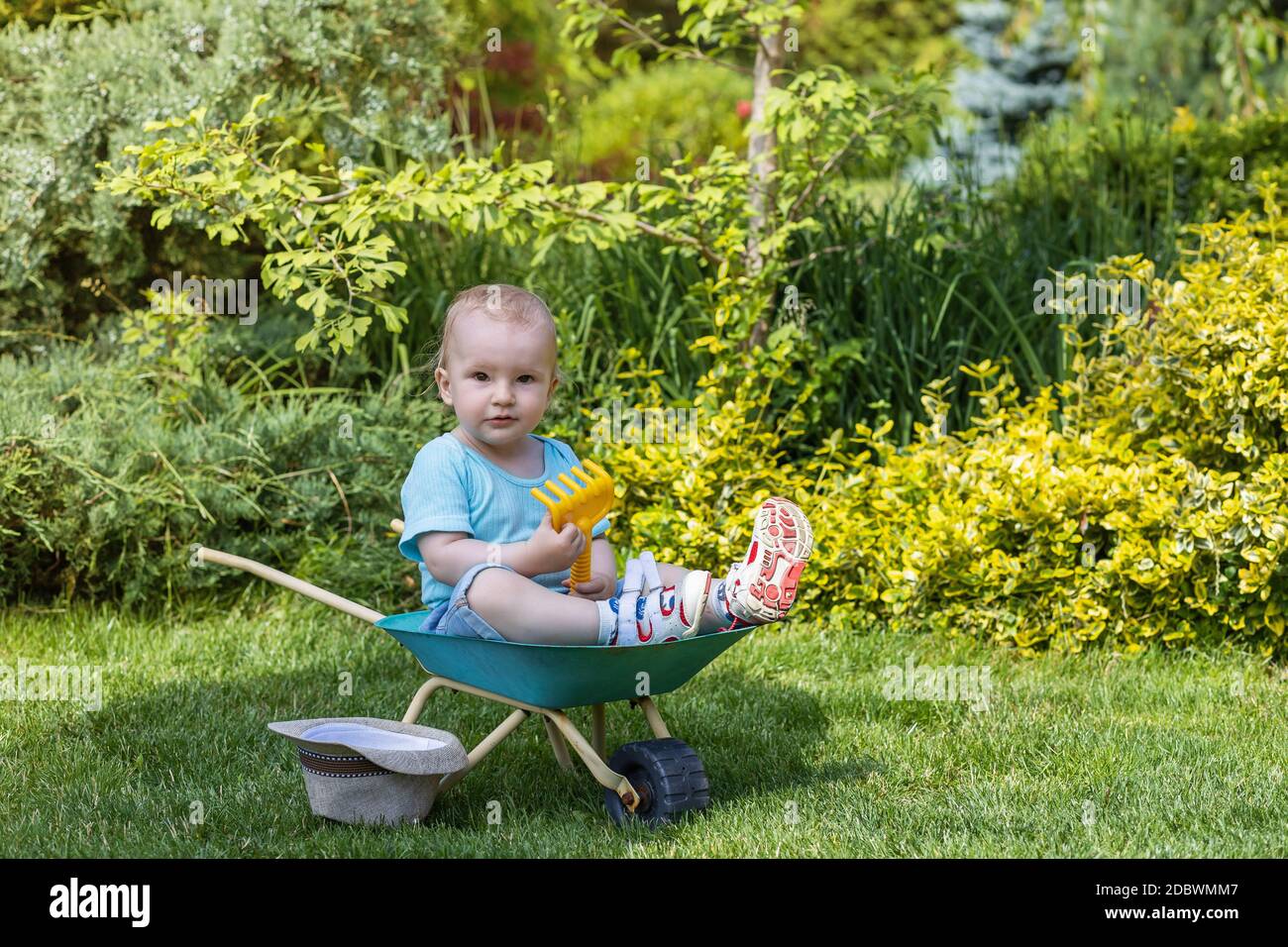 Cute baby boy is sitting on green wheelbarrow playing with yellow baby ...