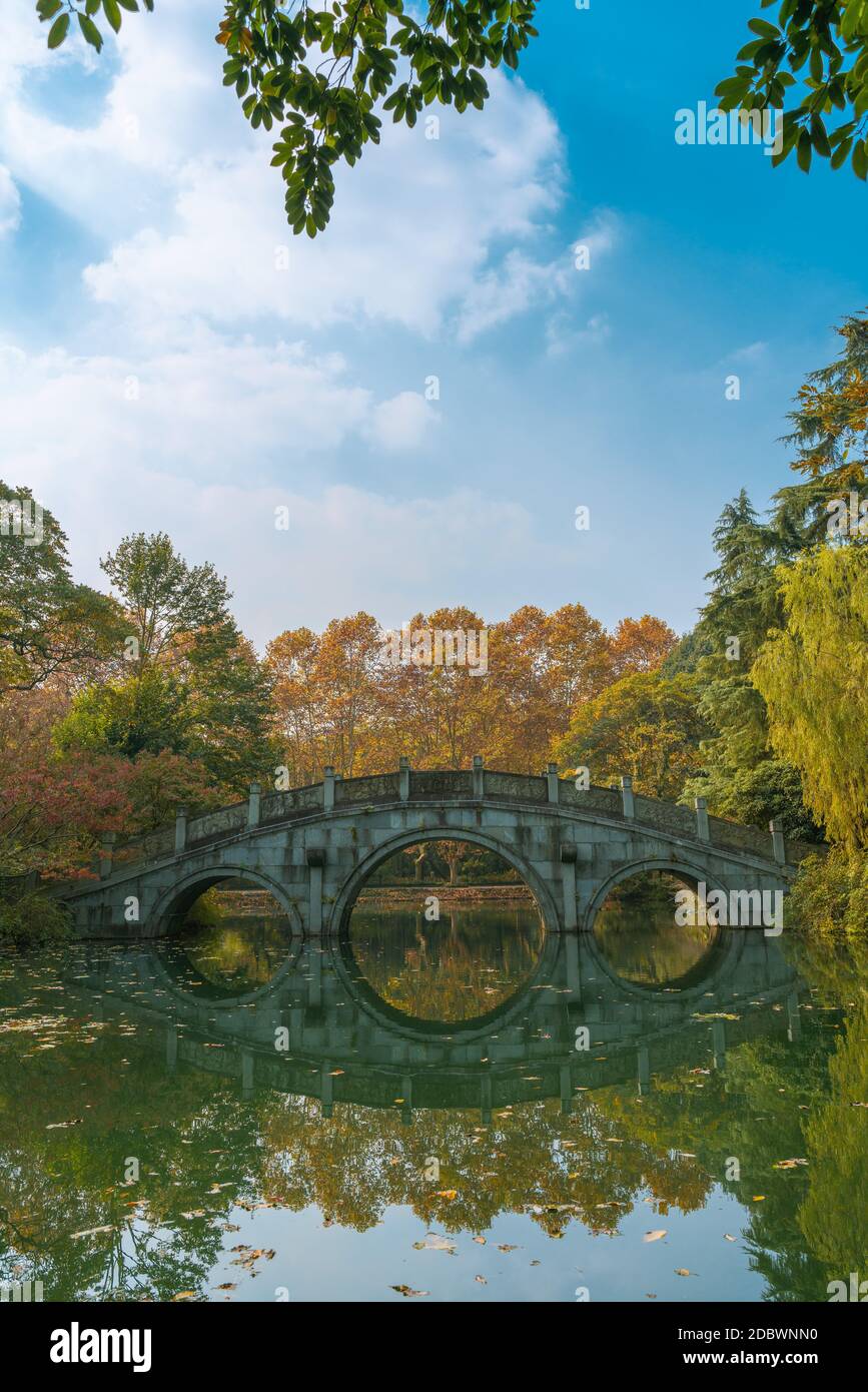 Generic ancient Chinese bridge in forest, in Hangzhou, China Stock ...