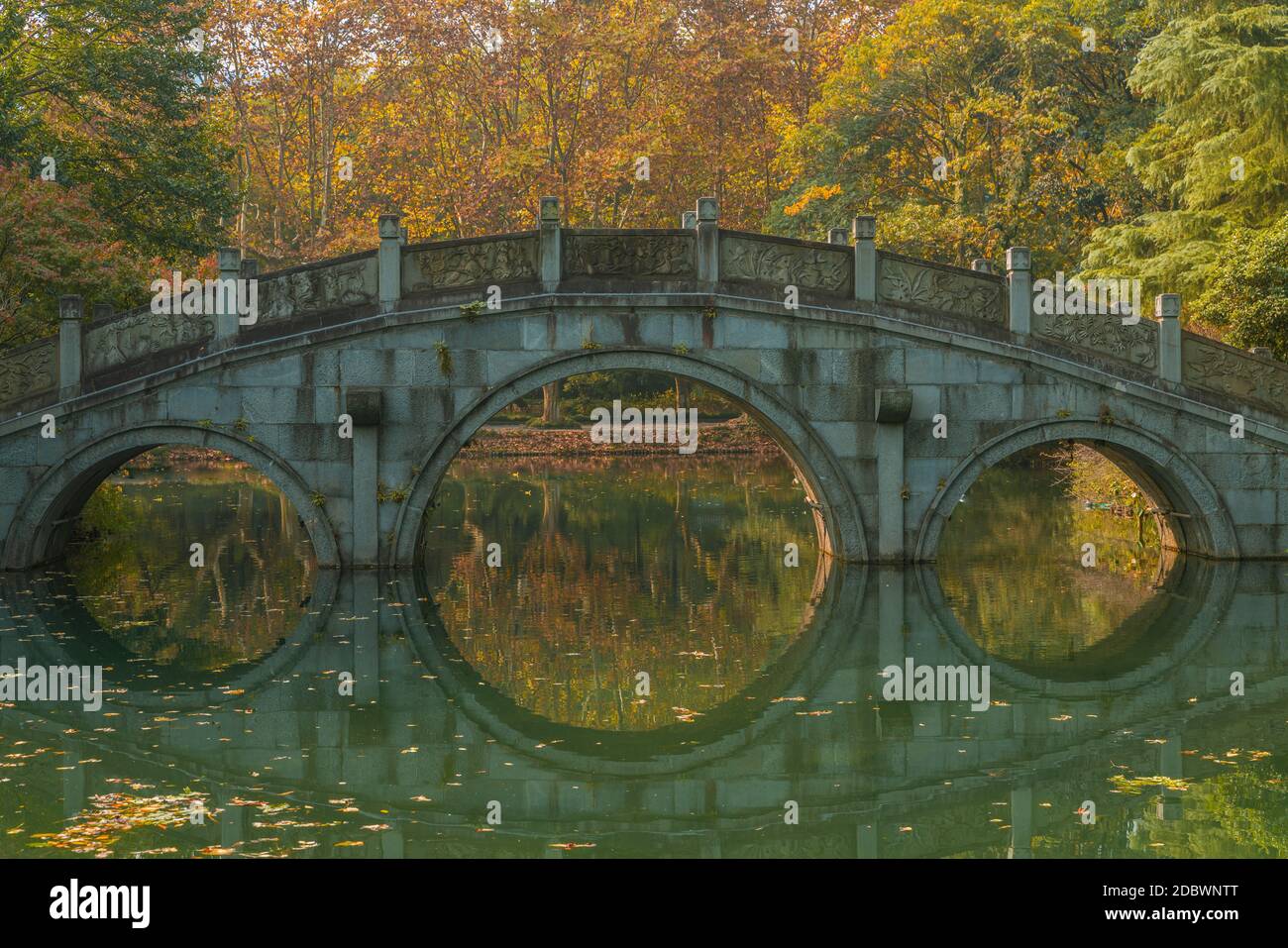 Generic ancient Chinese bridge in forest, in Hangzhou, China Stock ...