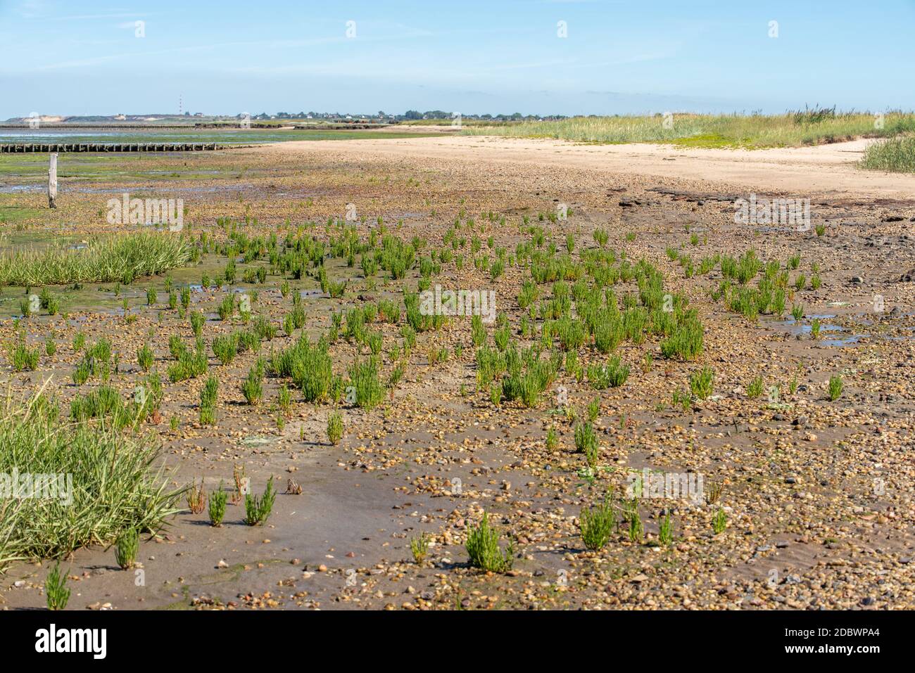 Queller zone hi-res stock photography and images - Alamy