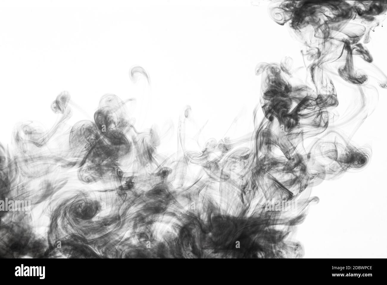 black ink droplet issolated on white background Stock Photo - Alamy