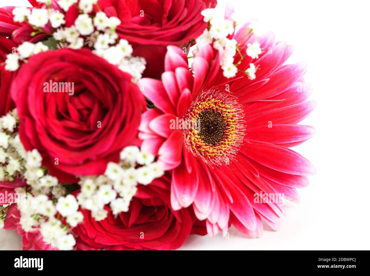 Birth flower cut hi-res stock photography and images - Alamy