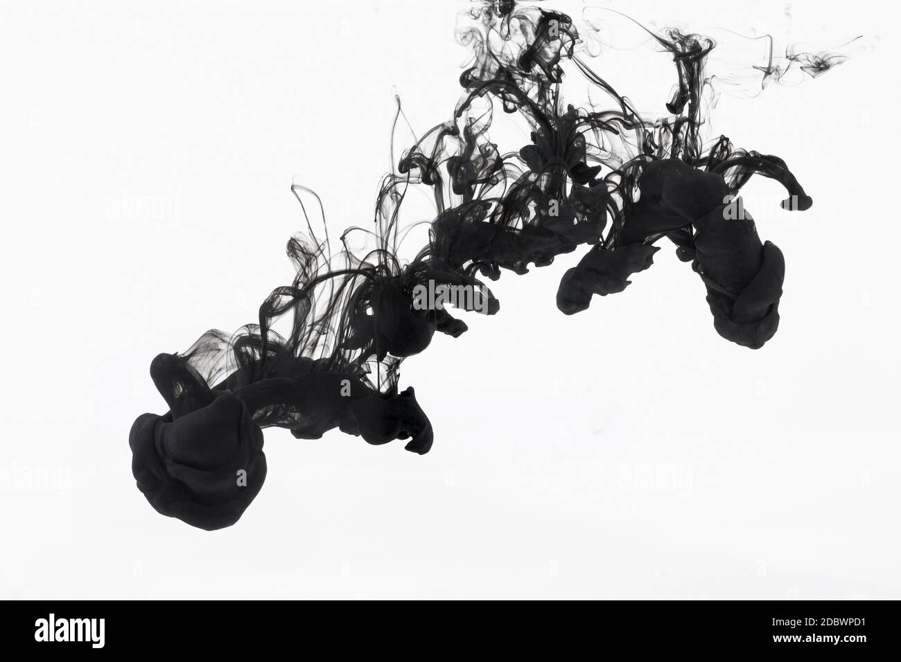 black ink droplet issolated on white background Stock Photo - Alamy