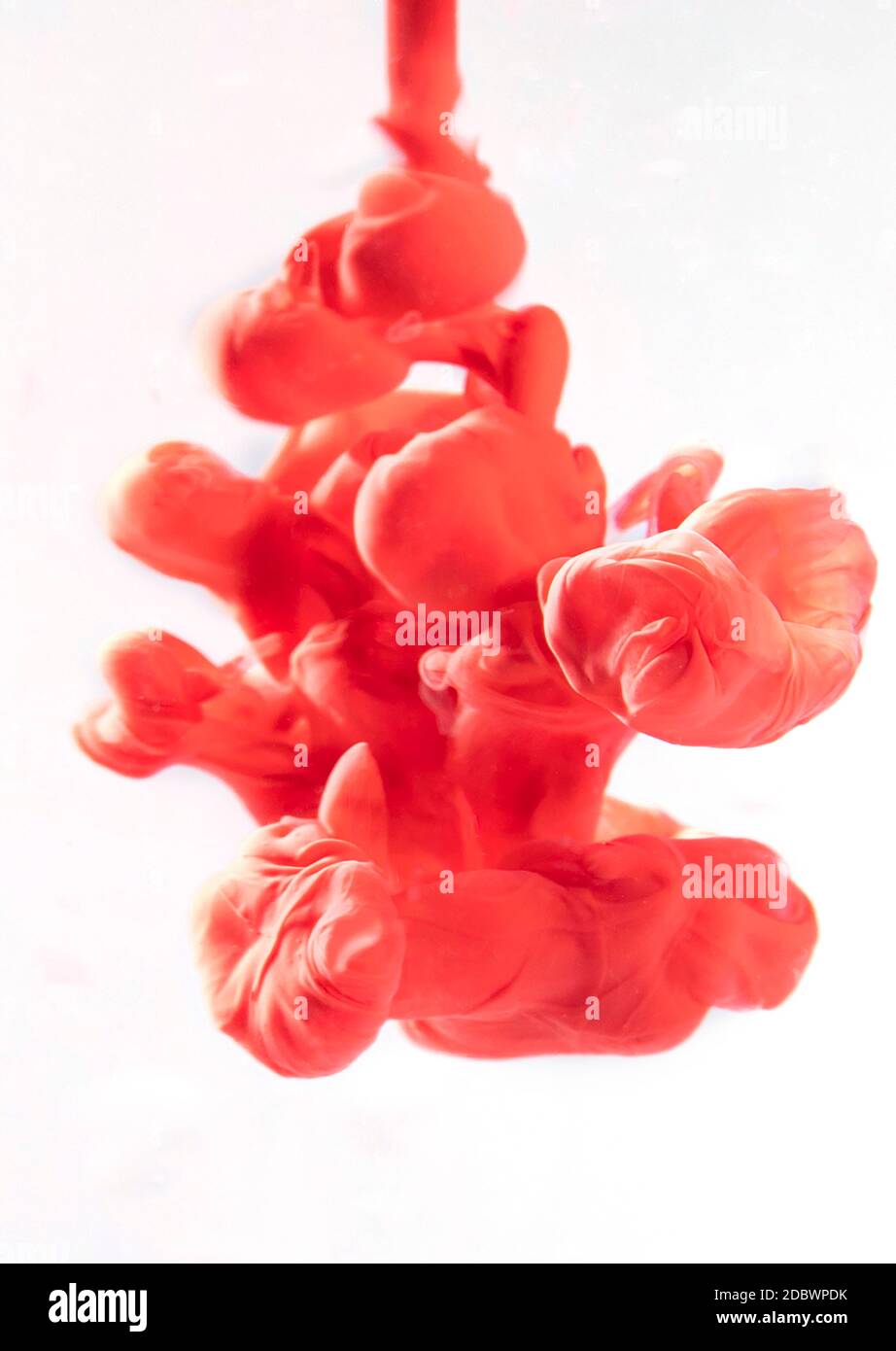 red ink droplet issolated on white background Stock Photo - Alamy