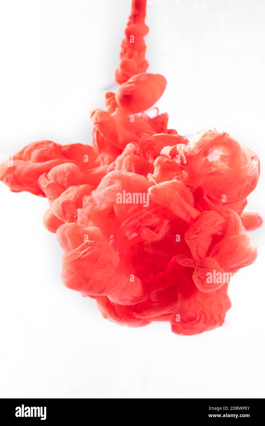 red ink droplet issolated on white background Stock Photo - Alamy