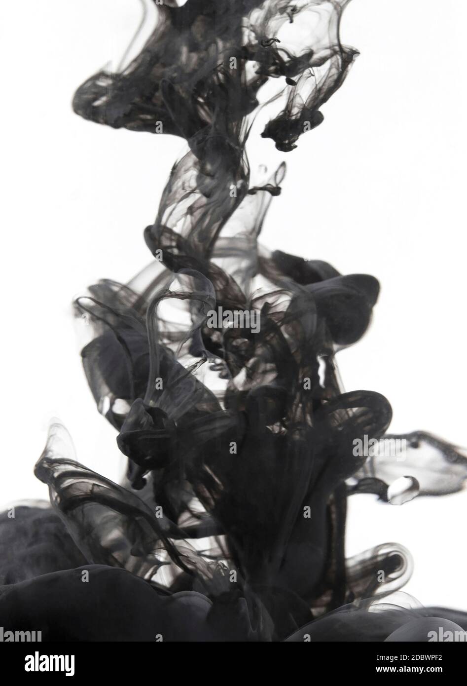 black ink droplet issolated on white background Stock Photo - Alamy