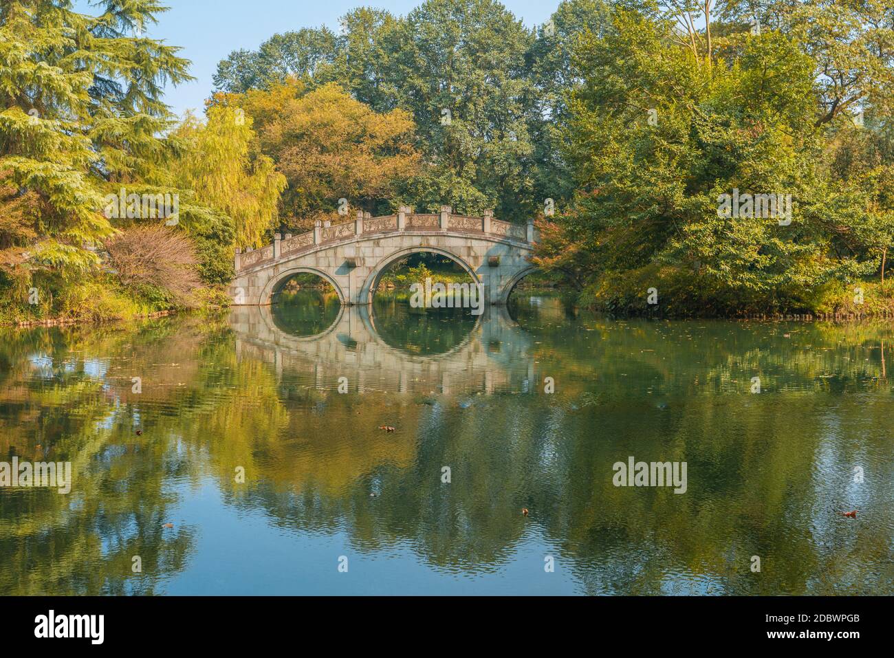 Generic ancient Chinese bridge in forest, in Hangzhou, China Stock ...