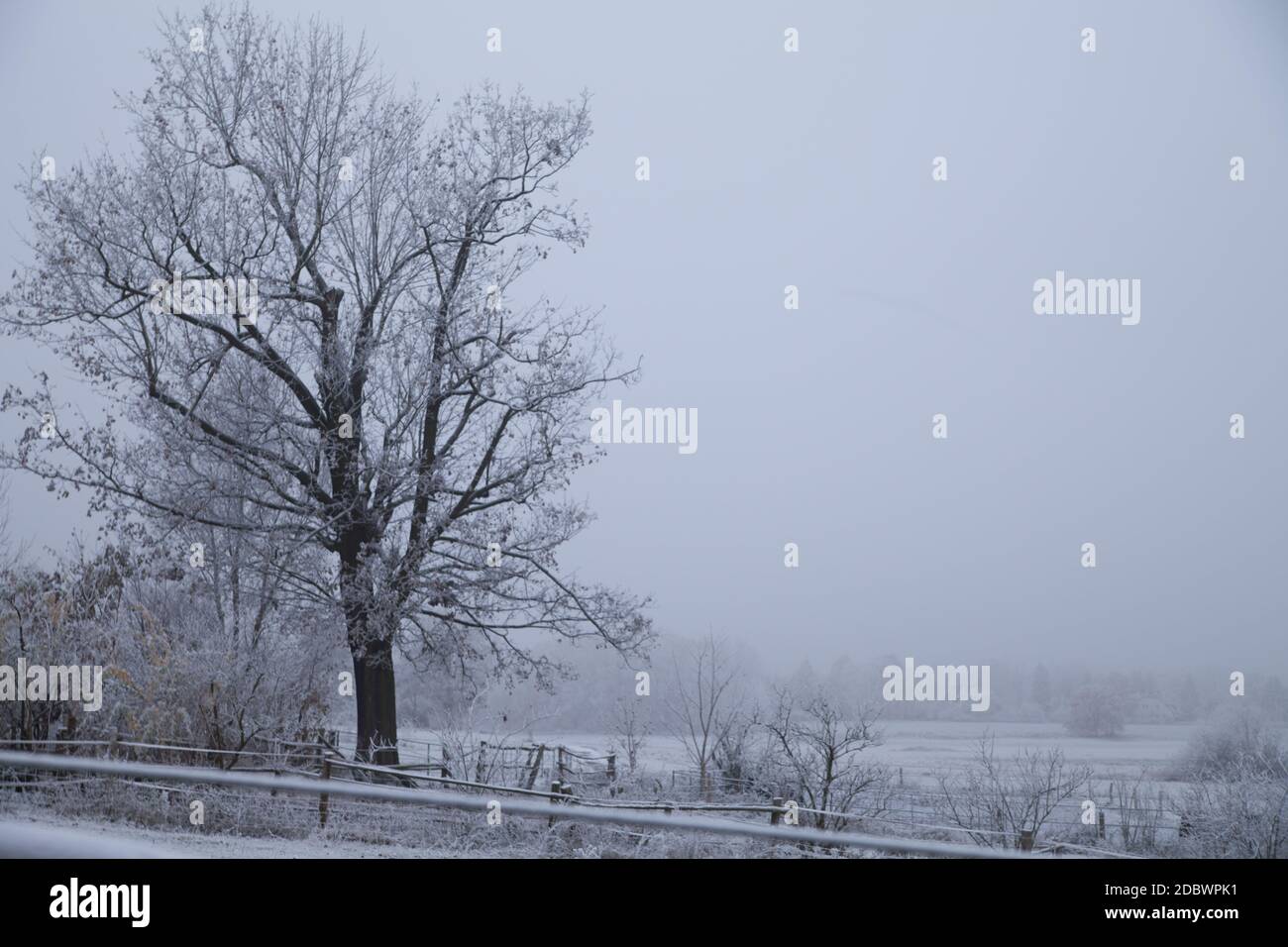 Landscape hoarfrost in trees hi-res stock photography and images - Alamy