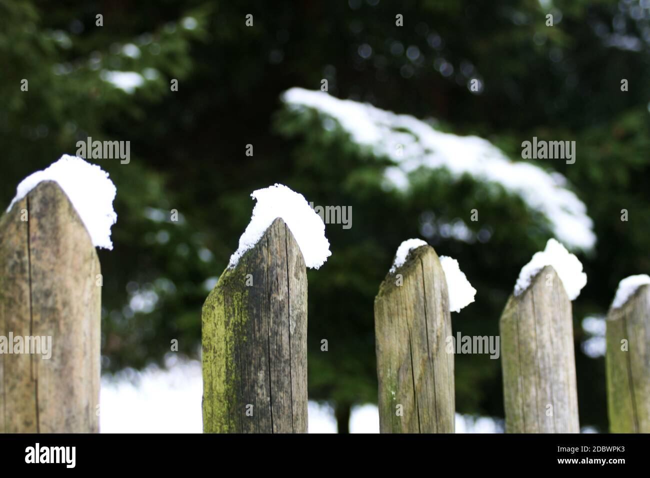 Snow on fence posts Stock Photo - Alamy