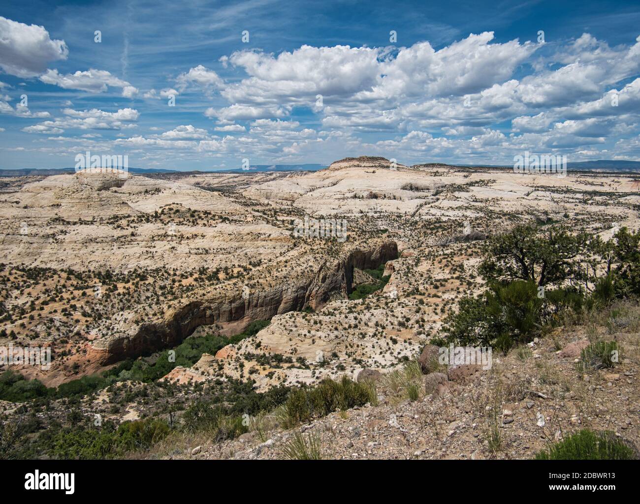 A long gorge in the middle of the barren rock landscape Stock Photo - Alamy