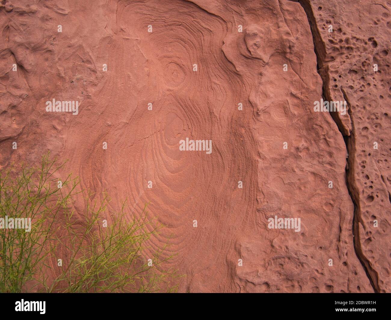 Porous sandstone hi-res stock photography and images - Alamy