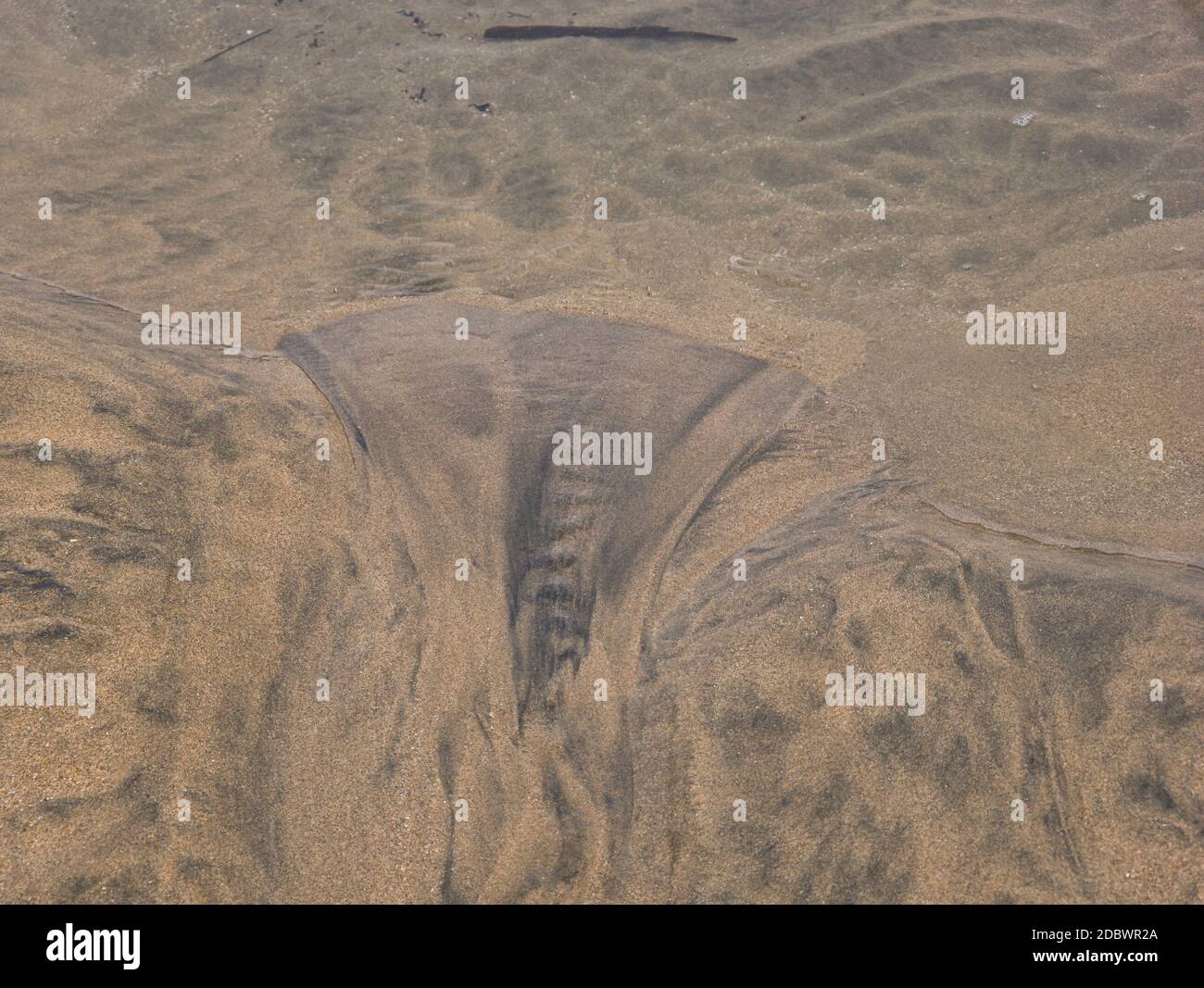 A funnel-shaped pattern of sea water in the black-brown sand Stock ...