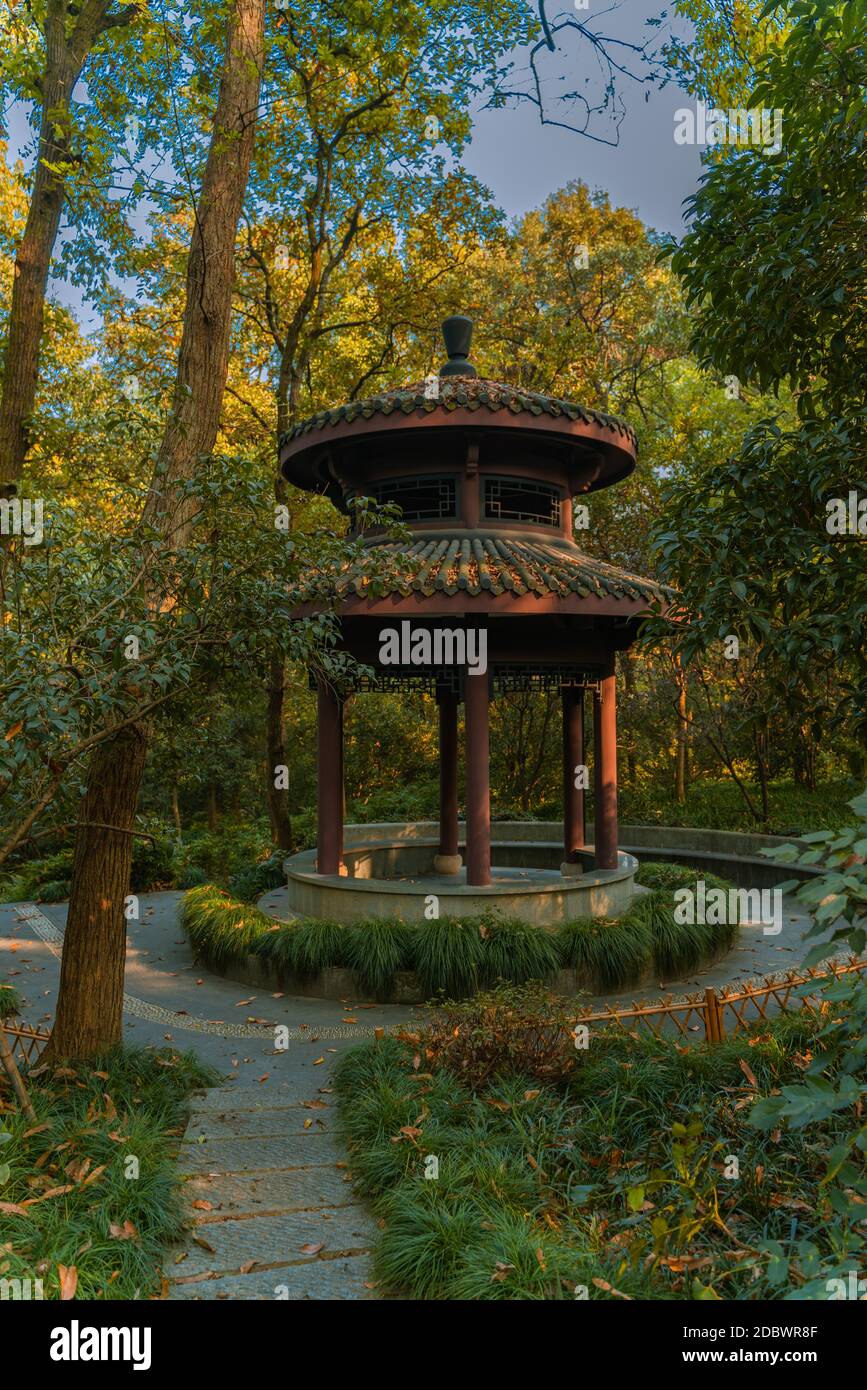 A Chinese pavilion in forest Stock Photo - Alamy
