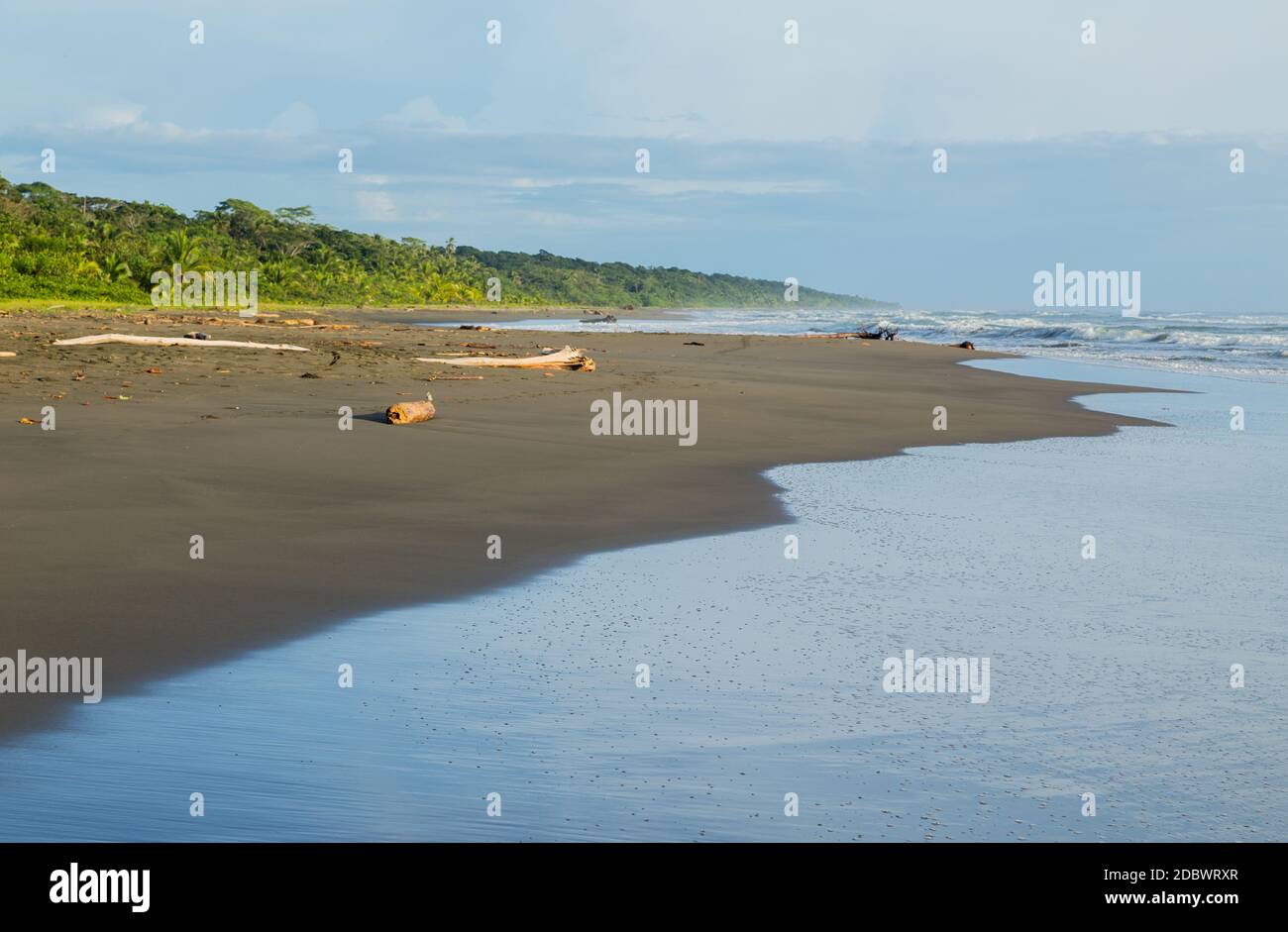 Tropical ocean beach with palm trees in costa rica Stock Photo - Alamy