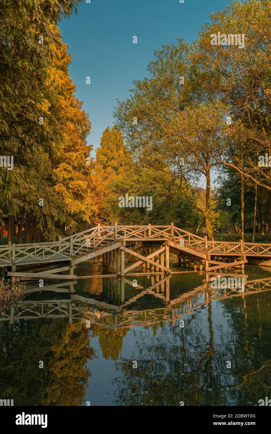 Generic ancient Chinese bridge in forest, in Hangzhou, China Stock ...
