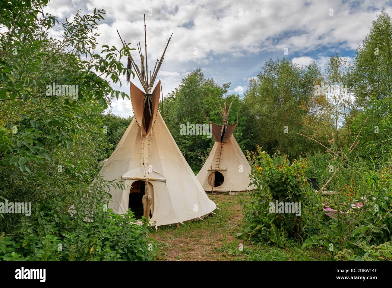 Two Indian tipis stand in a meadow between trees and bushes in the ...
