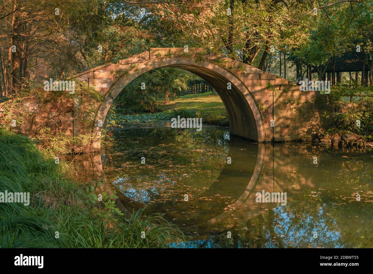Generic ancient Chinese bridge in forest, in Hangzhou, China Stock ...