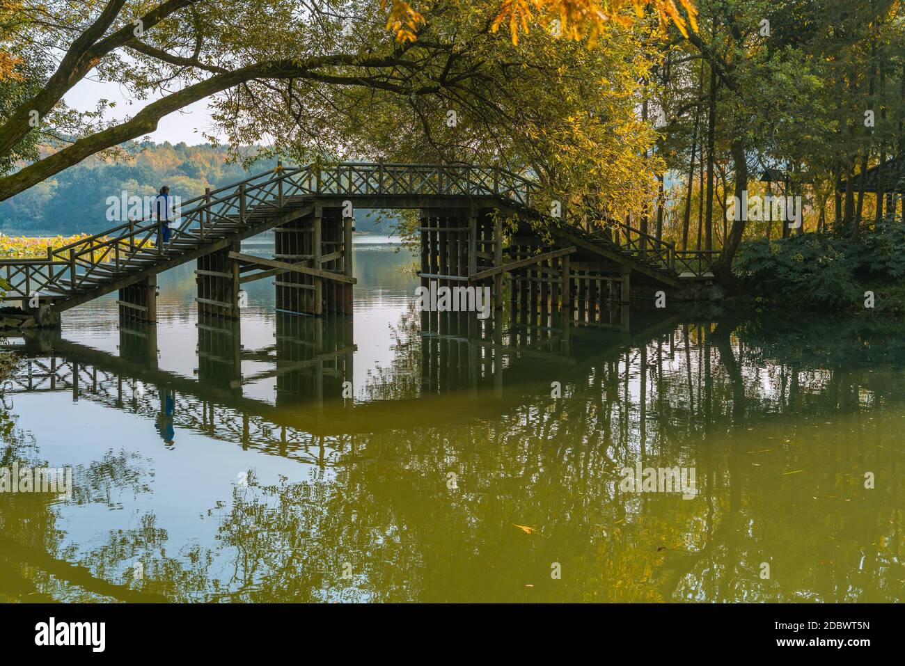 Generic ancient Chinese bridge in forest, in Hangzhou, China Stock ...