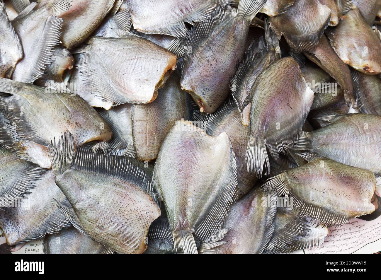 Salid fish hi-res stock photography and images - Alamy